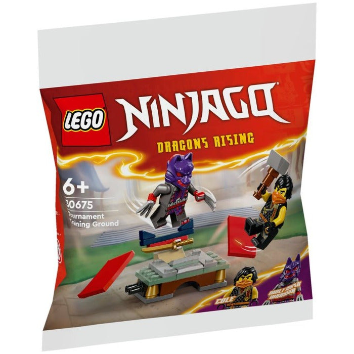30675 LEGO Tournament Training Ground Impulse Bag NIB – Bricks and ...